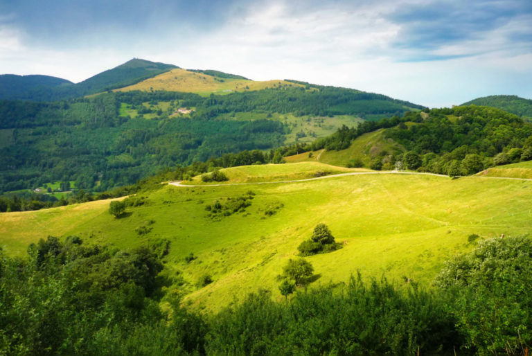 Alsace or Lorraine? 5 Key Differences to Understand — and Love — Both ...
