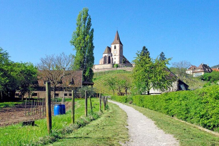 Alsace or Lorraine? 5 Key Differences to Understand — and Love — Both ...